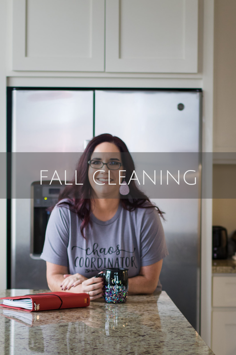 Organized Cleaning – The Blended Mama – Chaos Coordinator